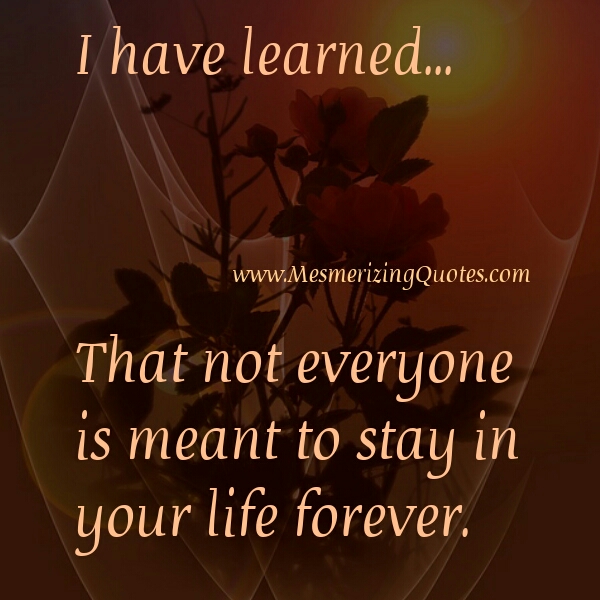 Not everyone is meant to stay in your Life - Mesmerizing Quotes Not everyone is meant to stay in your Life - Mesmerizing Quotes