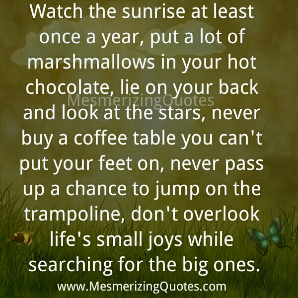 Don't overlook life's small joys while searching for the big ones ...