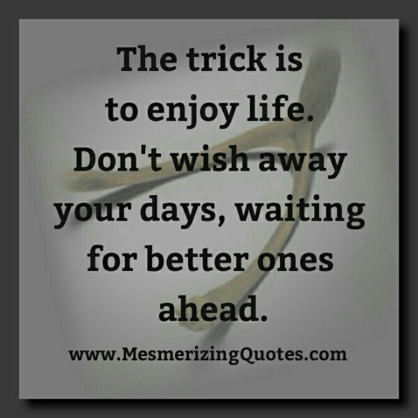 Something Better Is Waiting Quotes